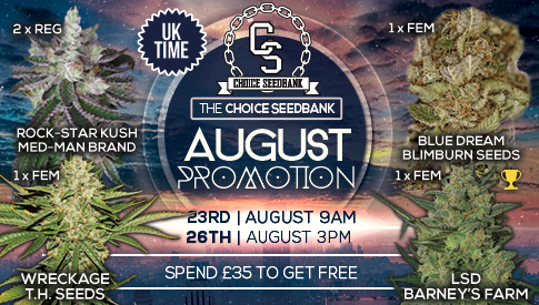 The Choice Seedbank - Buy Cannabis Seeds Online | Best Marijuana Seeds UK